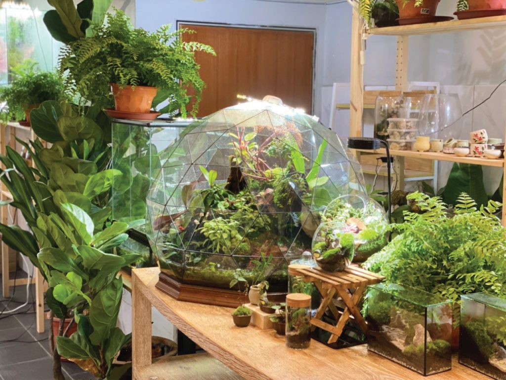 Home - Mossarium Concept Design