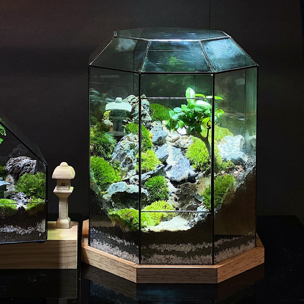 FOREST WORLD SERIES Terrarium - Mossarium Concept Design