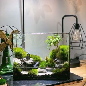 Jasmine Forest Terrarium - Mossarium Concept Design