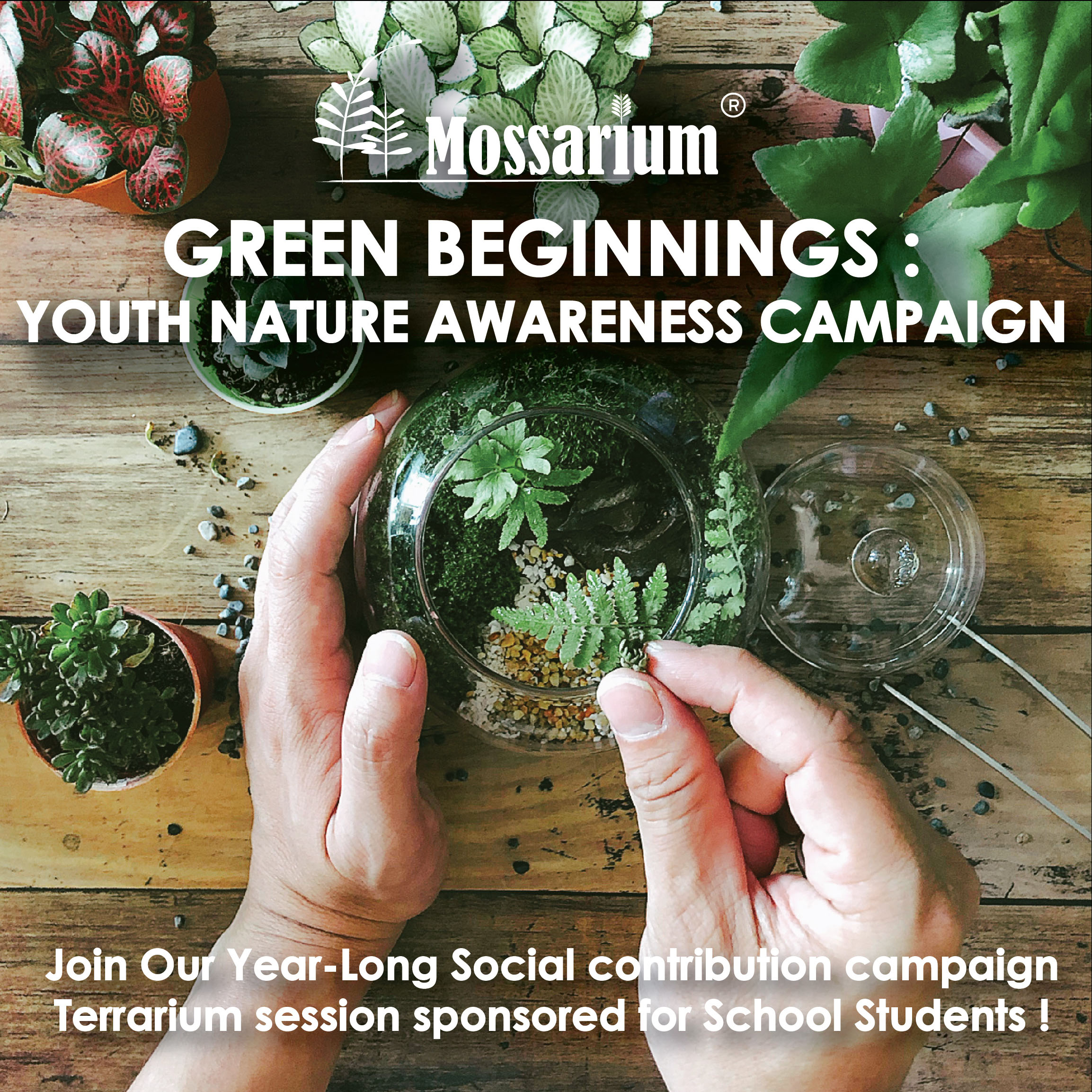 Green Beginning - Youth Nature Campaign - Mossarium Concept Design