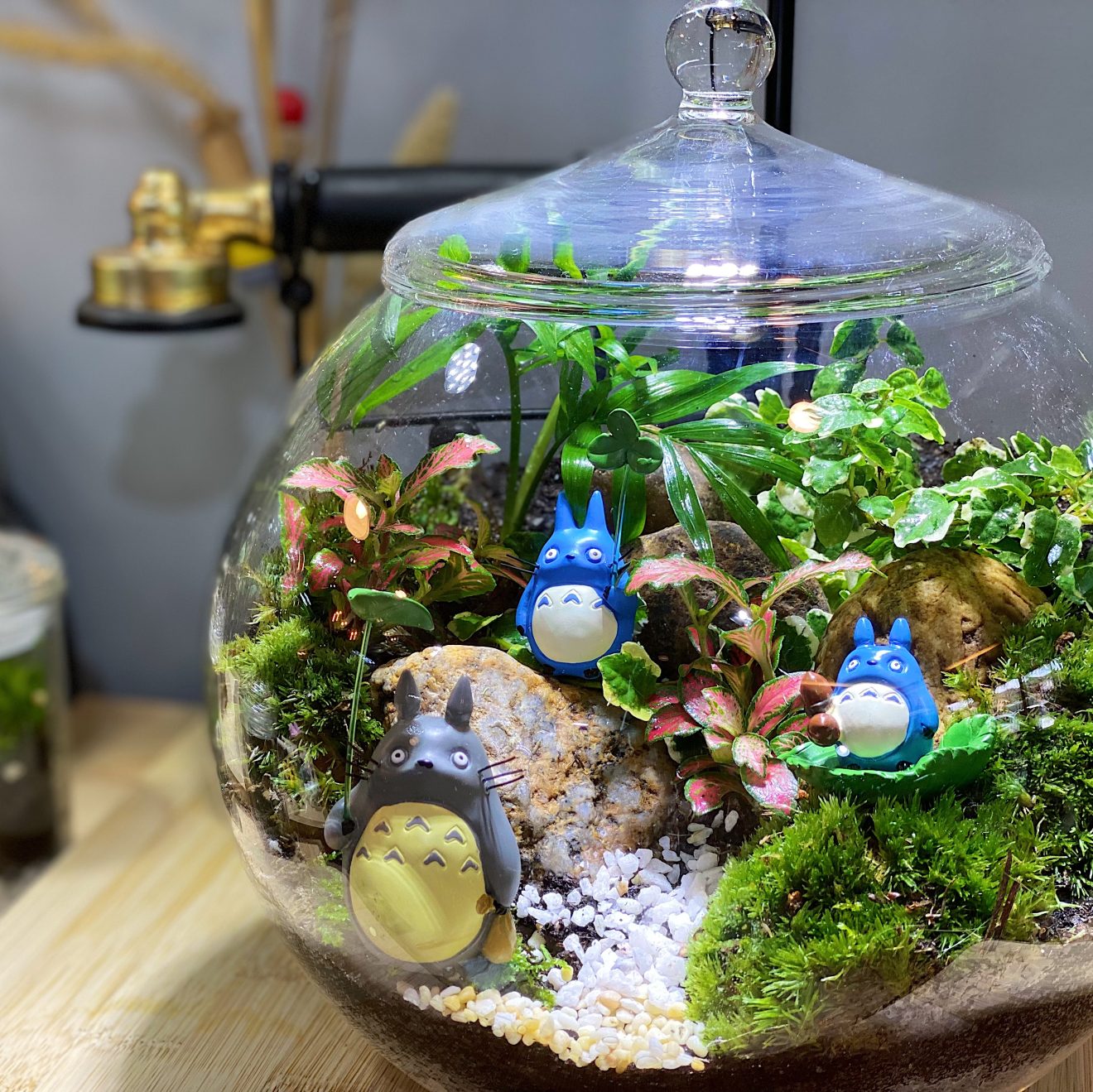 Create Your Own Terrarium | 4 Signature Styles to Choose From Mossarium