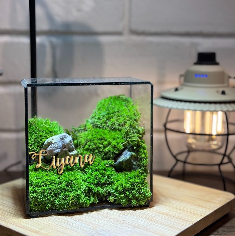 Shop Moss Terrarium & Eco Gift | Mossarium Terrarium online Store