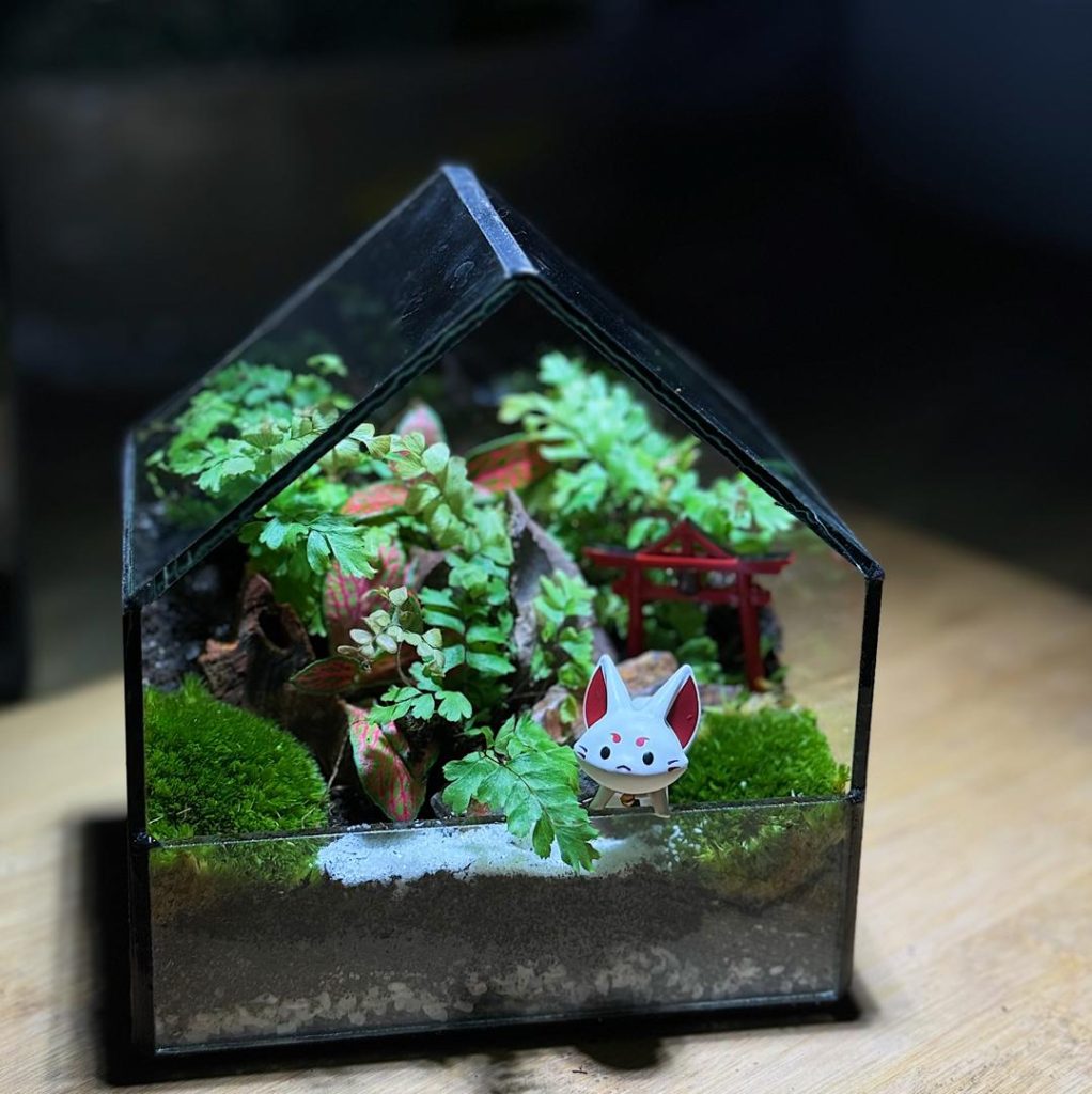 Rainforest Mini House Terrarium Gift | Closed Ecosystem Indoor Garden ...